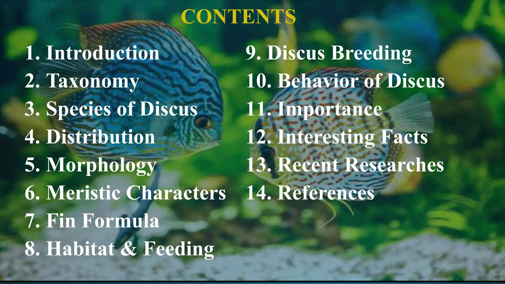 DISCUS FISH Introduction Morphology and its behaviour characteristics ...