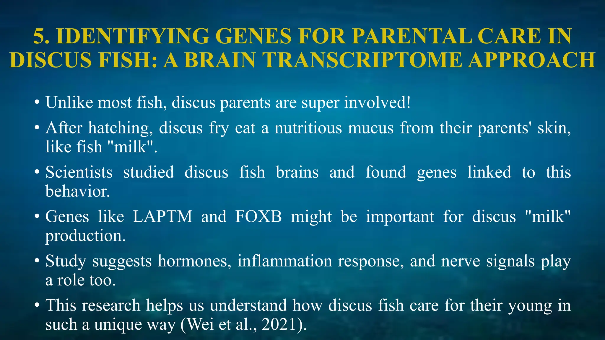 DISCUS FISH Introduction Morphology and its behaviour characteristics ...