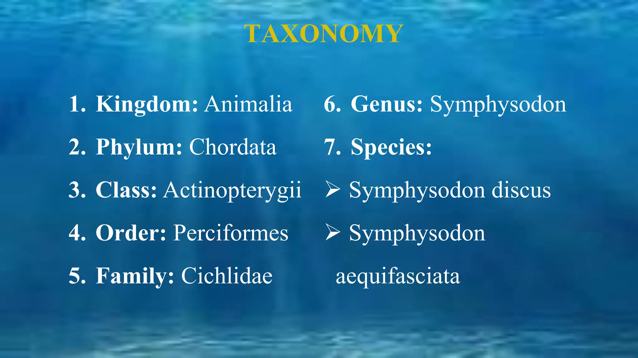 DISCUS FISH Introduction Morphology and its behaviour characteristics ...