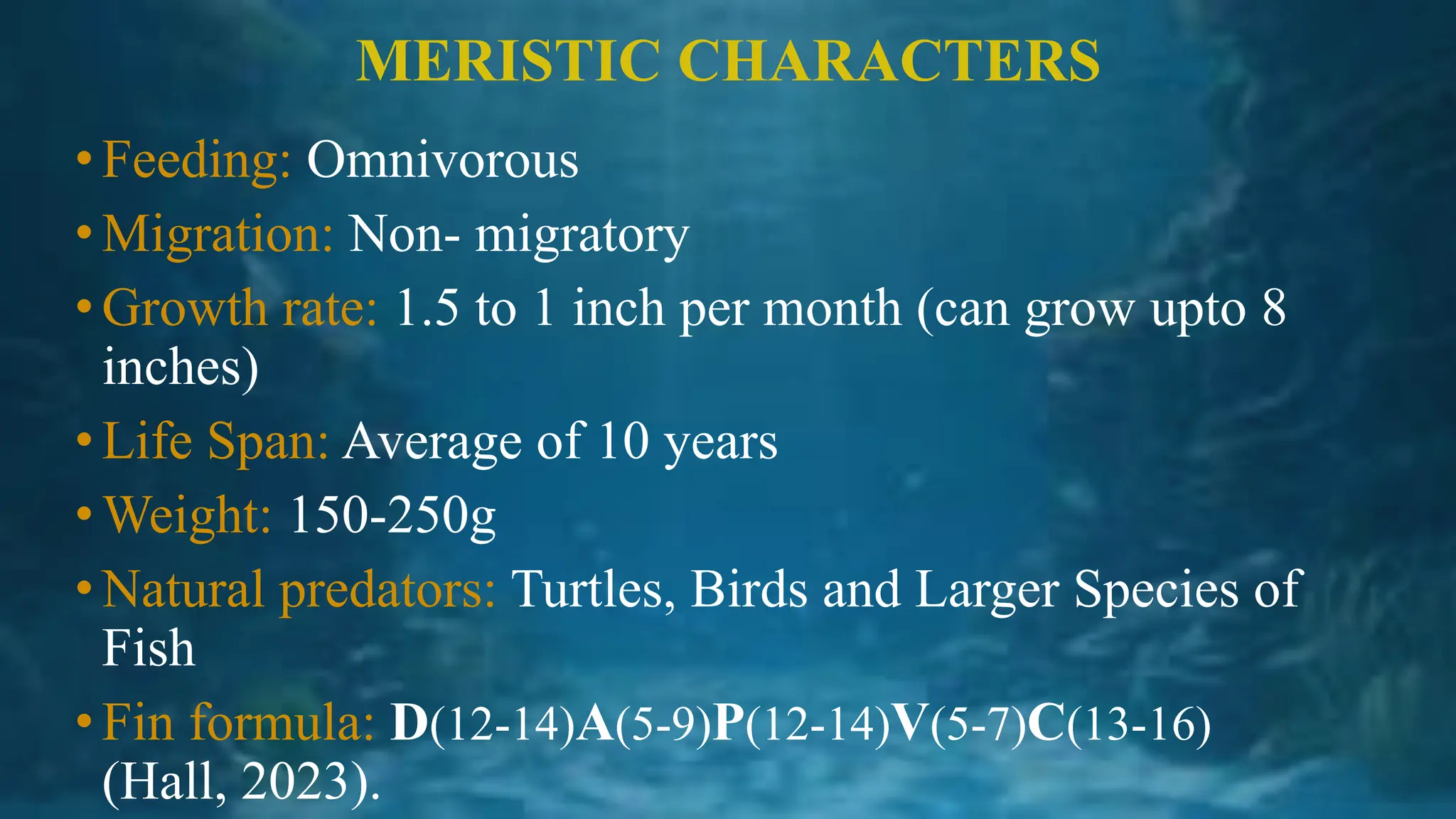 DISCUS FISH Introduction Morphology and its behaviour characteristics ...
