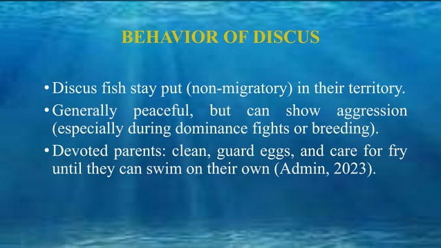 DISCUS FISH Introduction Morphology and its behaviour characteristics ...