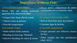 DISCUS FISH Introduction Morphology and its behaviour characteristics ...