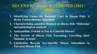 DISCUS FISH Introduction Morphology and its behaviour characteristics ...