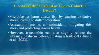 DISCUS FISH Introduction Morphology and its behaviour characteristics ...