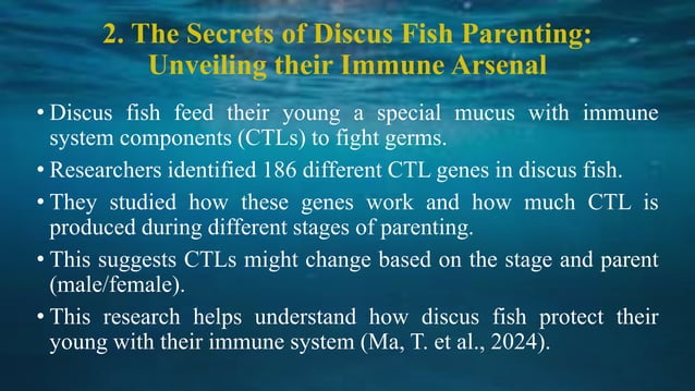 DISCUS FISH Introduction Morphology and its behaviour characteristics ...
