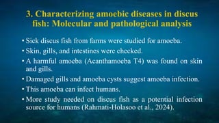 DISCUS FISH Introduction Morphology and its behaviour characteristics ...