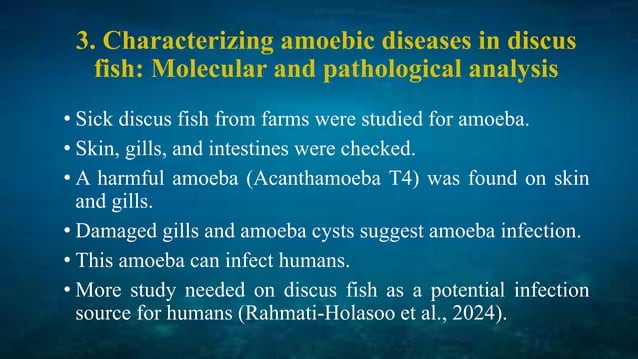 DISCUS FISH Introduction Morphology and its behaviour characteristics ...
