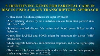 DISCUS FISH Introduction Morphology and its behaviour characteristics ...