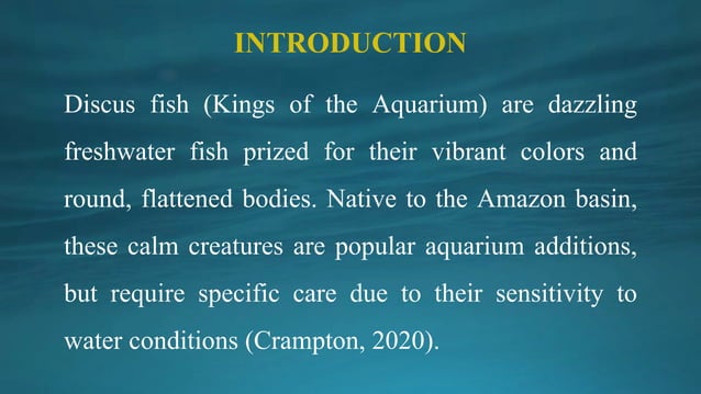 DISCUS FISH Introduction Morphology and its behaviour characteristics ...