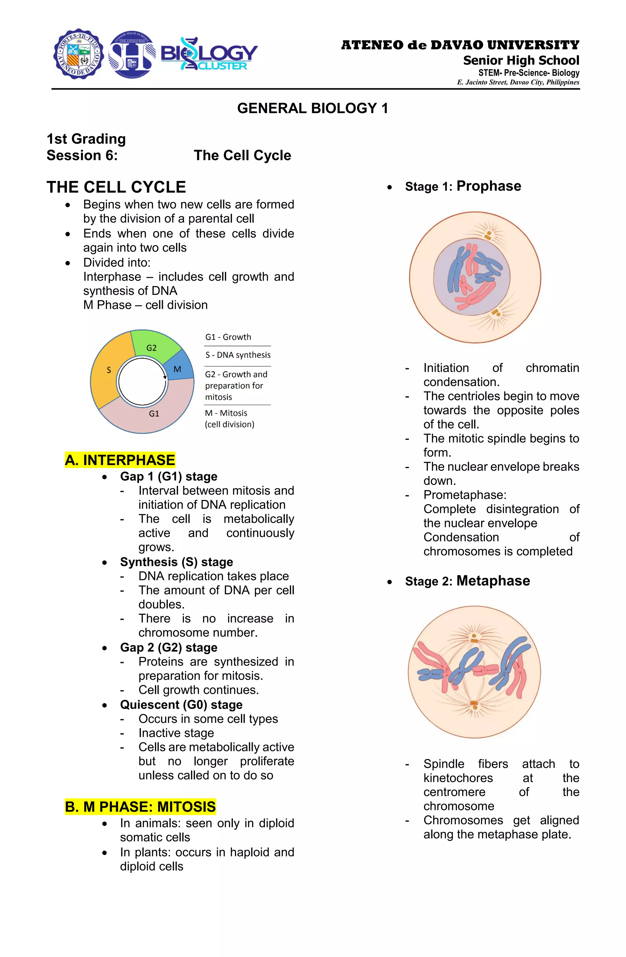 390373431-The-Cell-Cycle.pdf