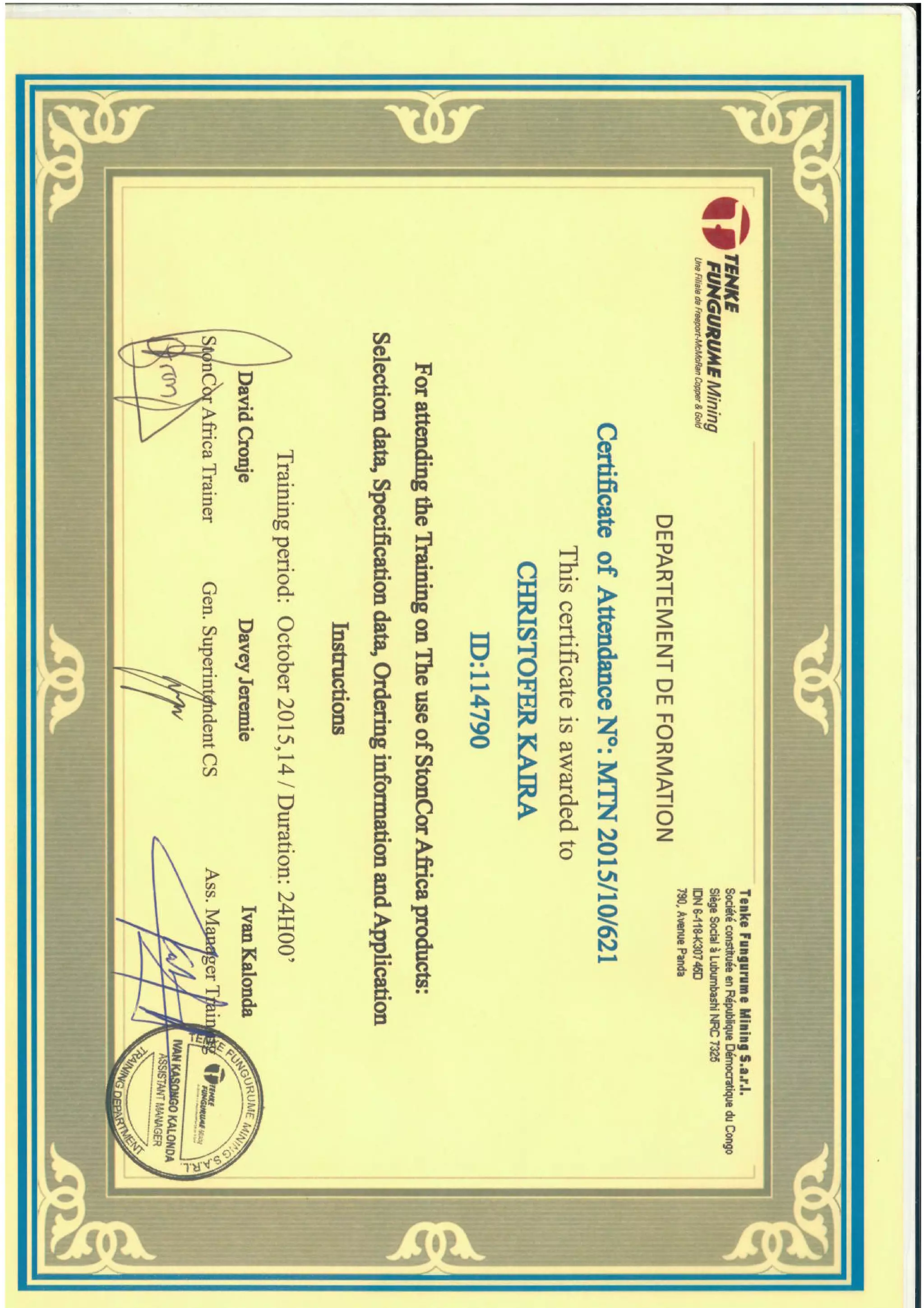 TFM painting certificate | PDF