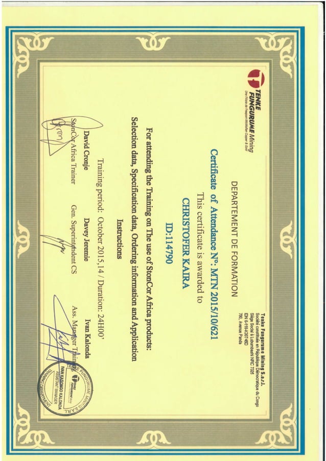 TFM painting certificate | PDF