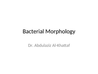 391991409-1-Bacterial-Morphology-ppt.ppt