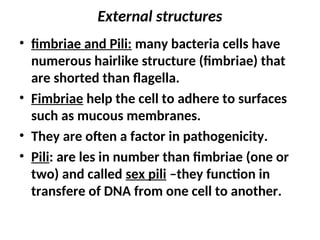 391991409-1-Bacterial-Morphology-ppt.ppt