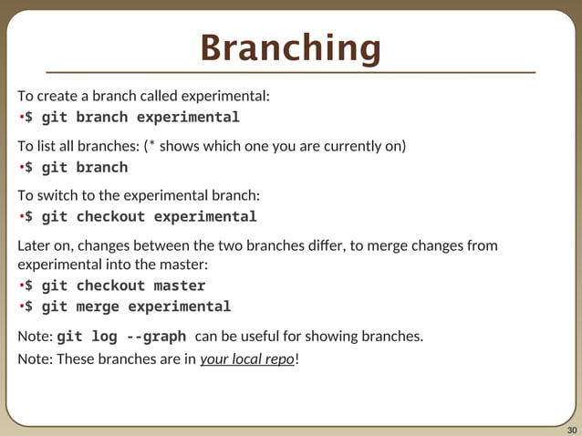 391Lecture0909 Vision control of git.ppt