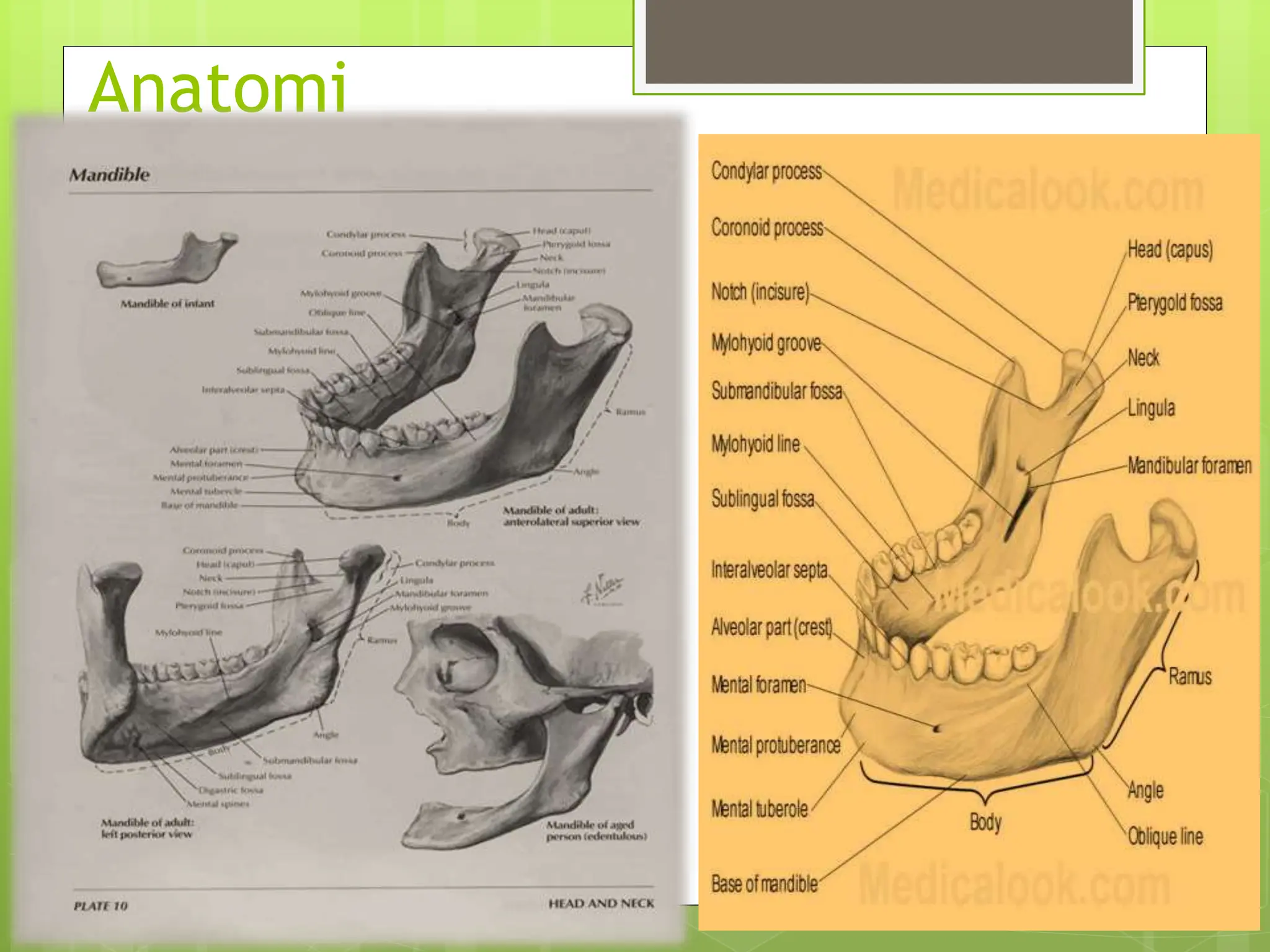 392060383-abses-mandibula definisi-ppt.pptx