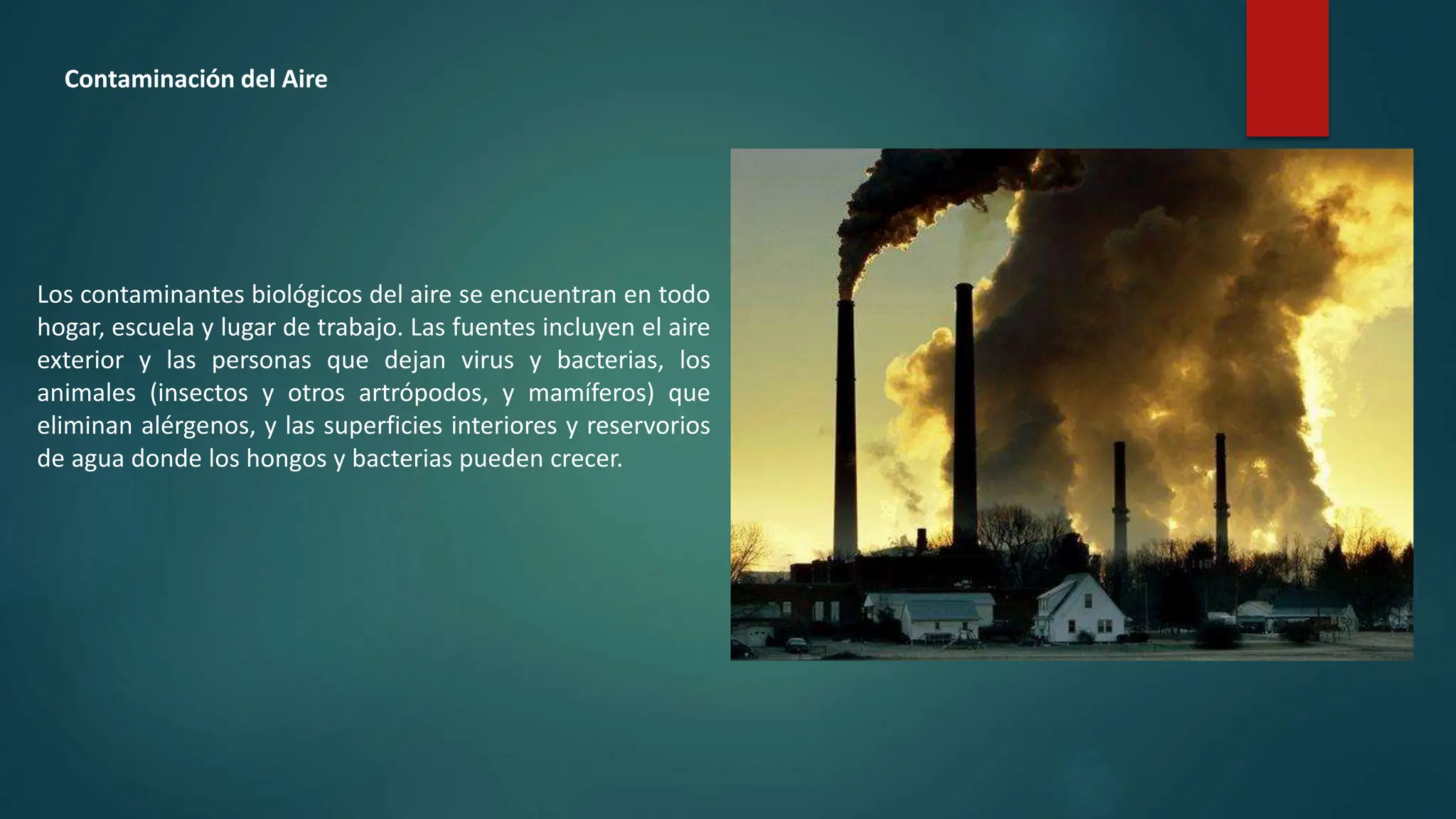 392541010-contaminacion-biologica-pptx.pptx
