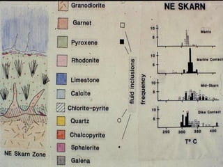 393696128-Skarn-2.pdf