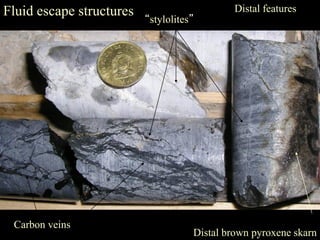 393696128-Skarn-2.pdf