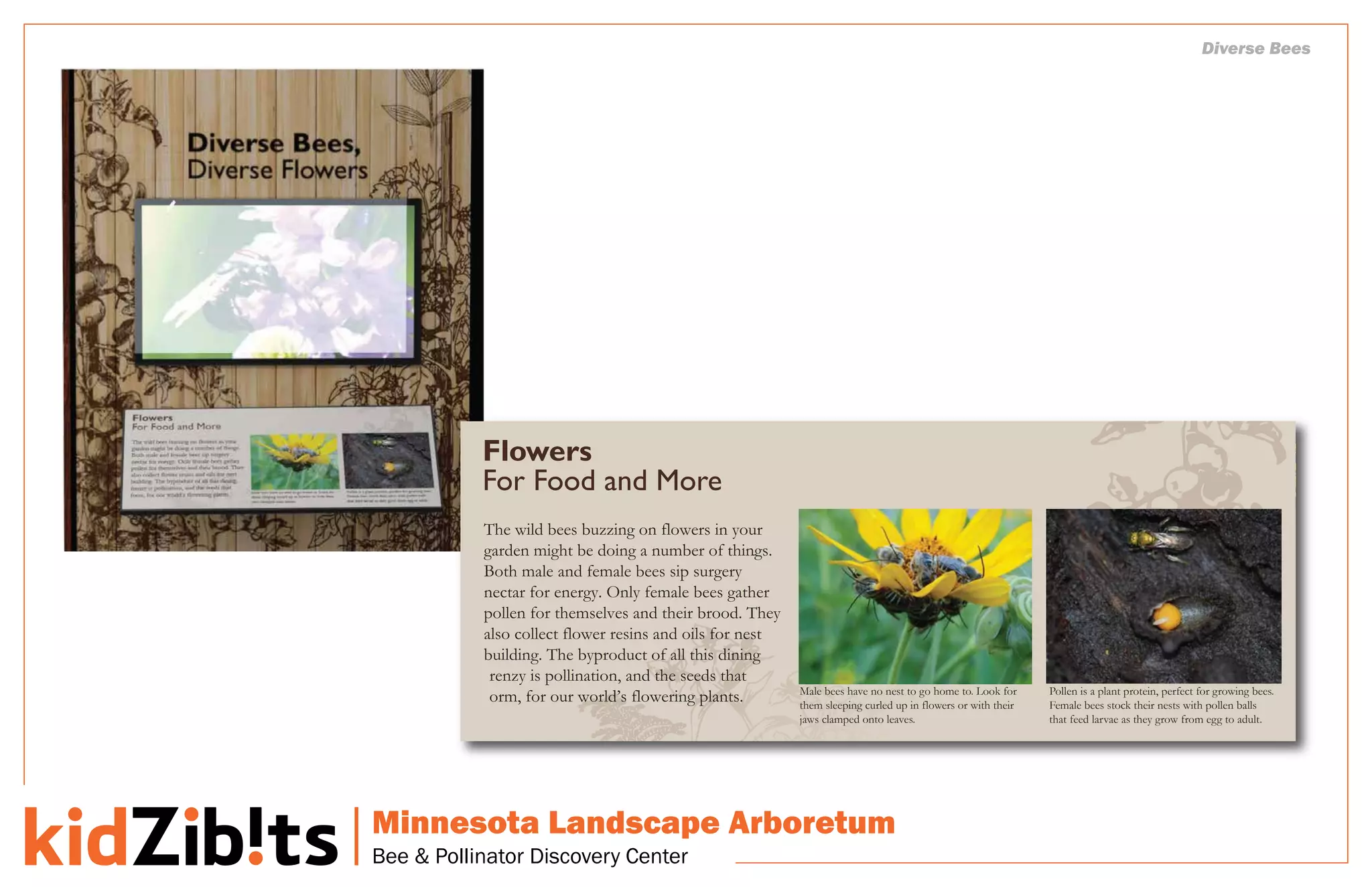 Pollinator Presentation | PDF
