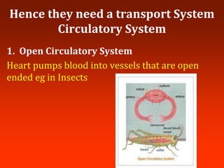 Transport in human, human circulatory system | PPT