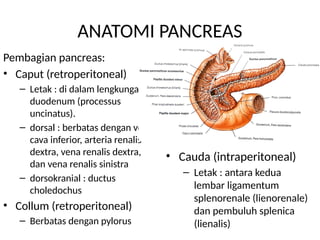 397188366-Anatomi dari Pancreas presentasi.pptx