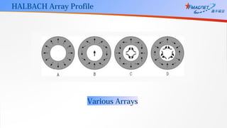 HALBACH english verson | PPT