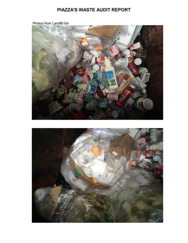 Piazza's Waste Audit Report Final | PDF