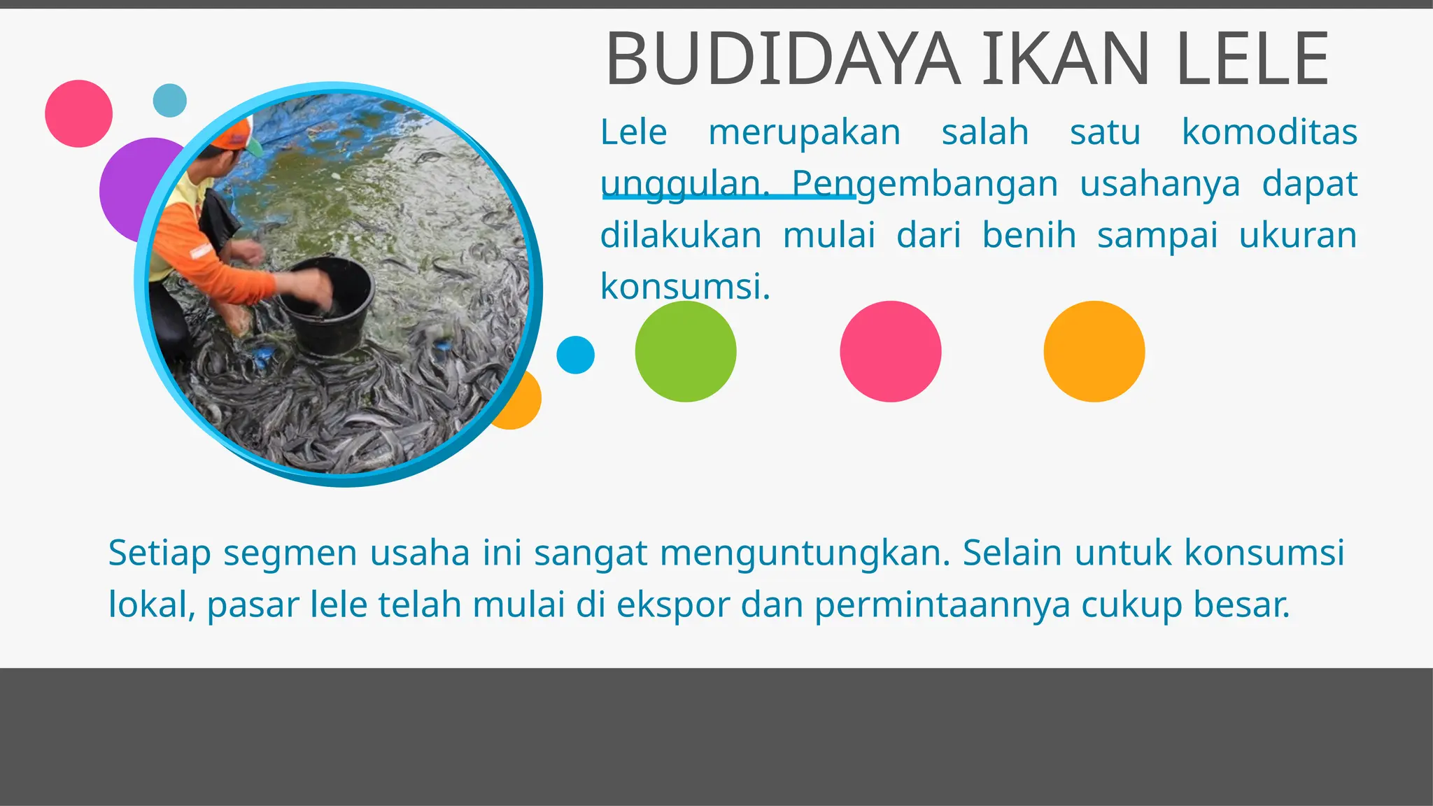 397668109-ppt-budidaya-ikan-lele.pptx dan pembenihan | PPTX