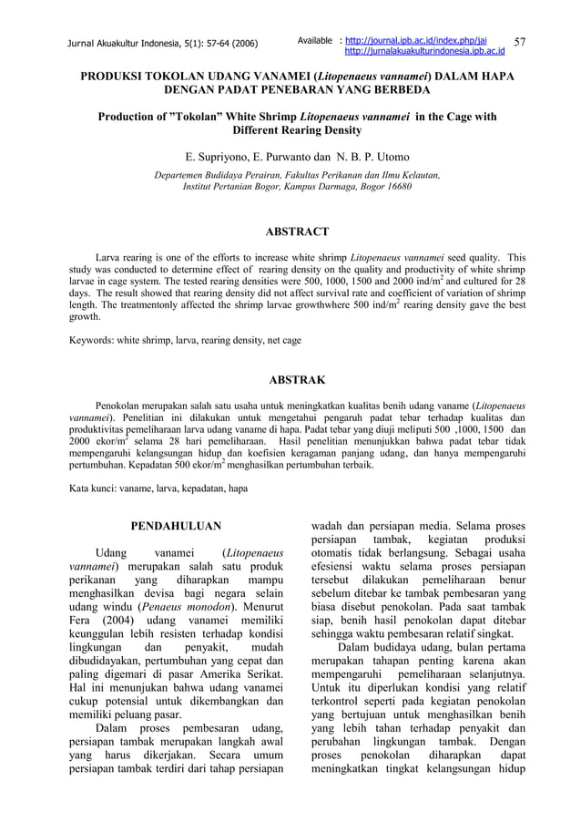 PRODUKSI TOKOLAN UDANG VANAMEI (Litopenaeus vannamei) DALAM HAPA DENGAN PADAT PENEBARAN YANG ...