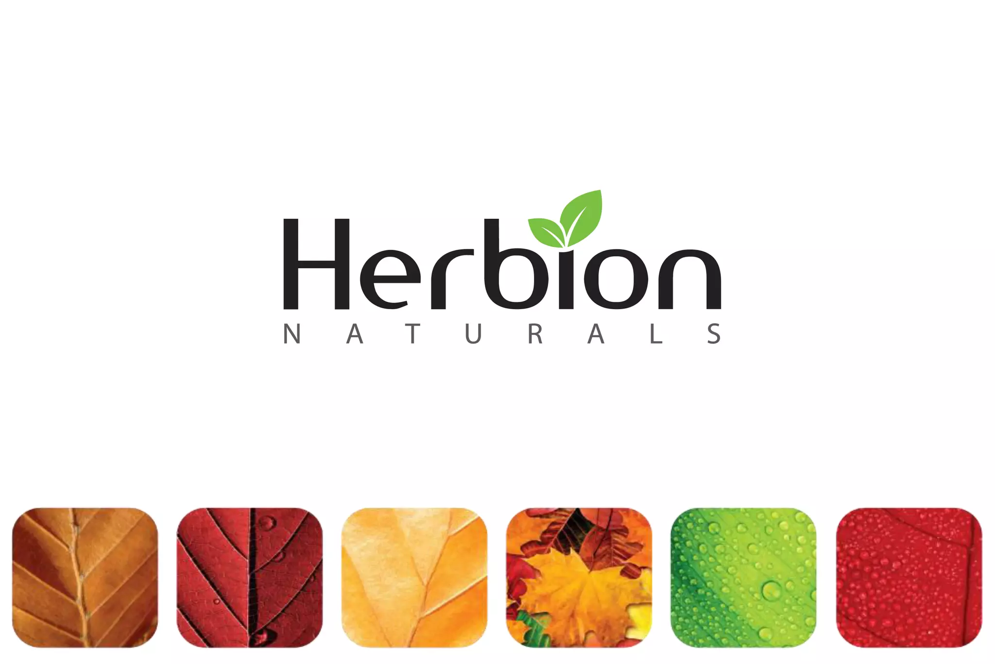 Herbion Product Portfolio | PDF