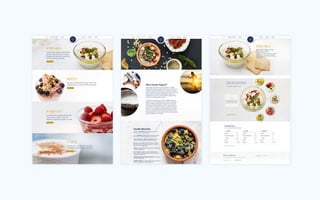 MVC_Portfolio-GoGreekYogurt_v2 | PDF