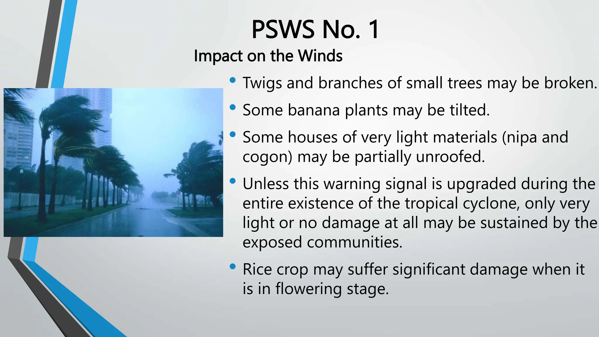 399329295-Ppt-Presentation-weather-Disturbances.pptx