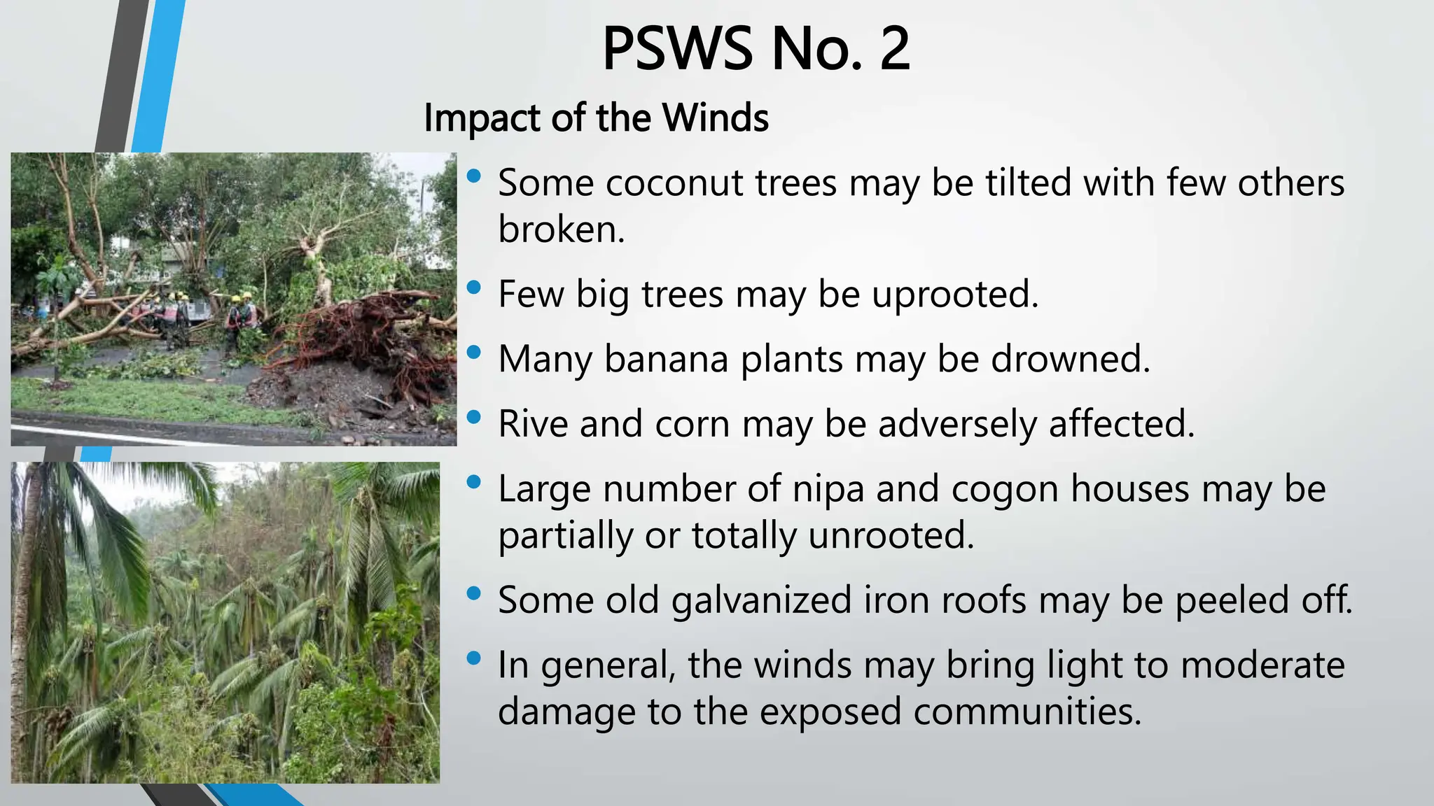 399329295-Ppt-Presentation-weather-Disturbances.pptx