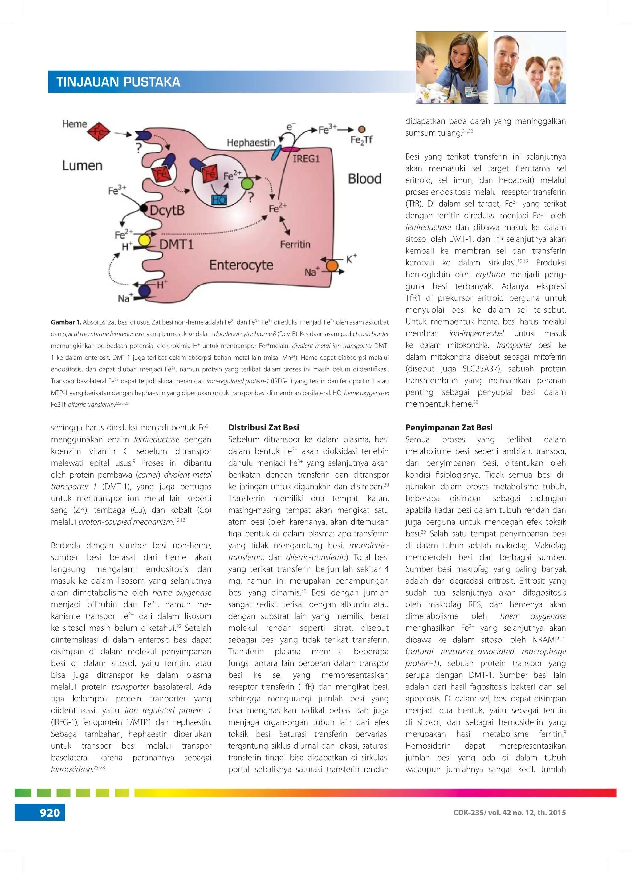 399510-hepcidin-dan-anemia-defi-siensi-besi-6fd54c82.pdf