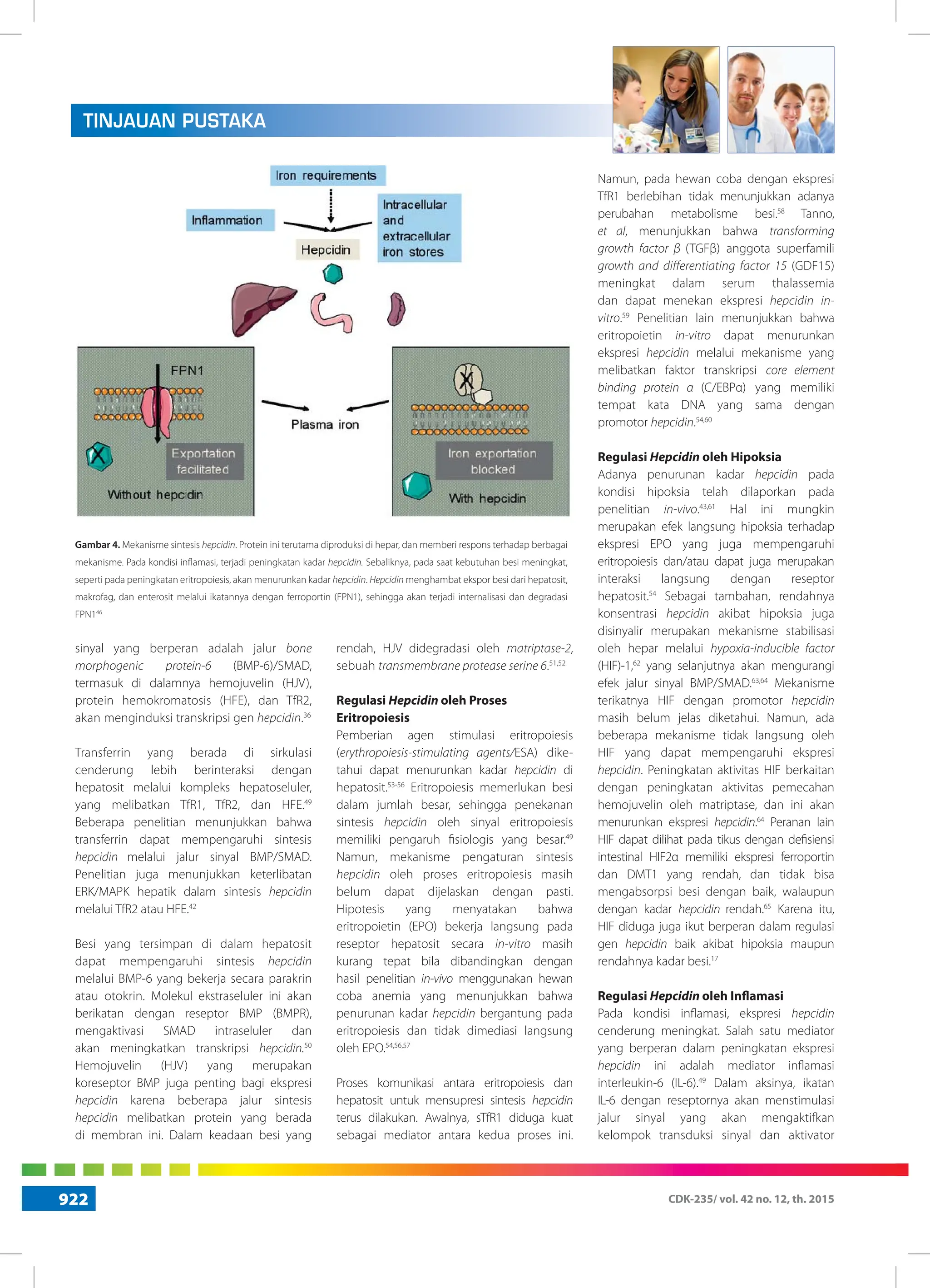 399510-hepcidin-dan-anemia-defi-siensi-besi-6fd54c82.pdf