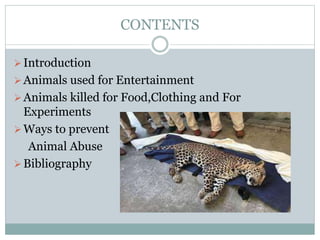 Cruelty on Animals | PPTX