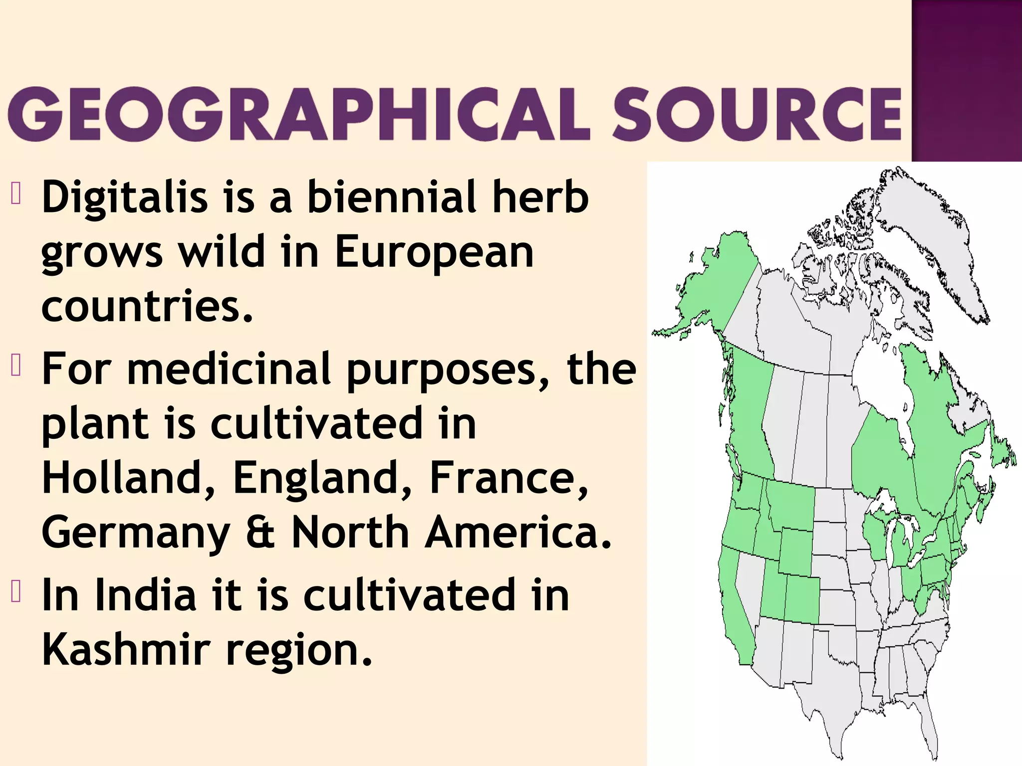 DIGITALIS the glycosidal drug | PPT