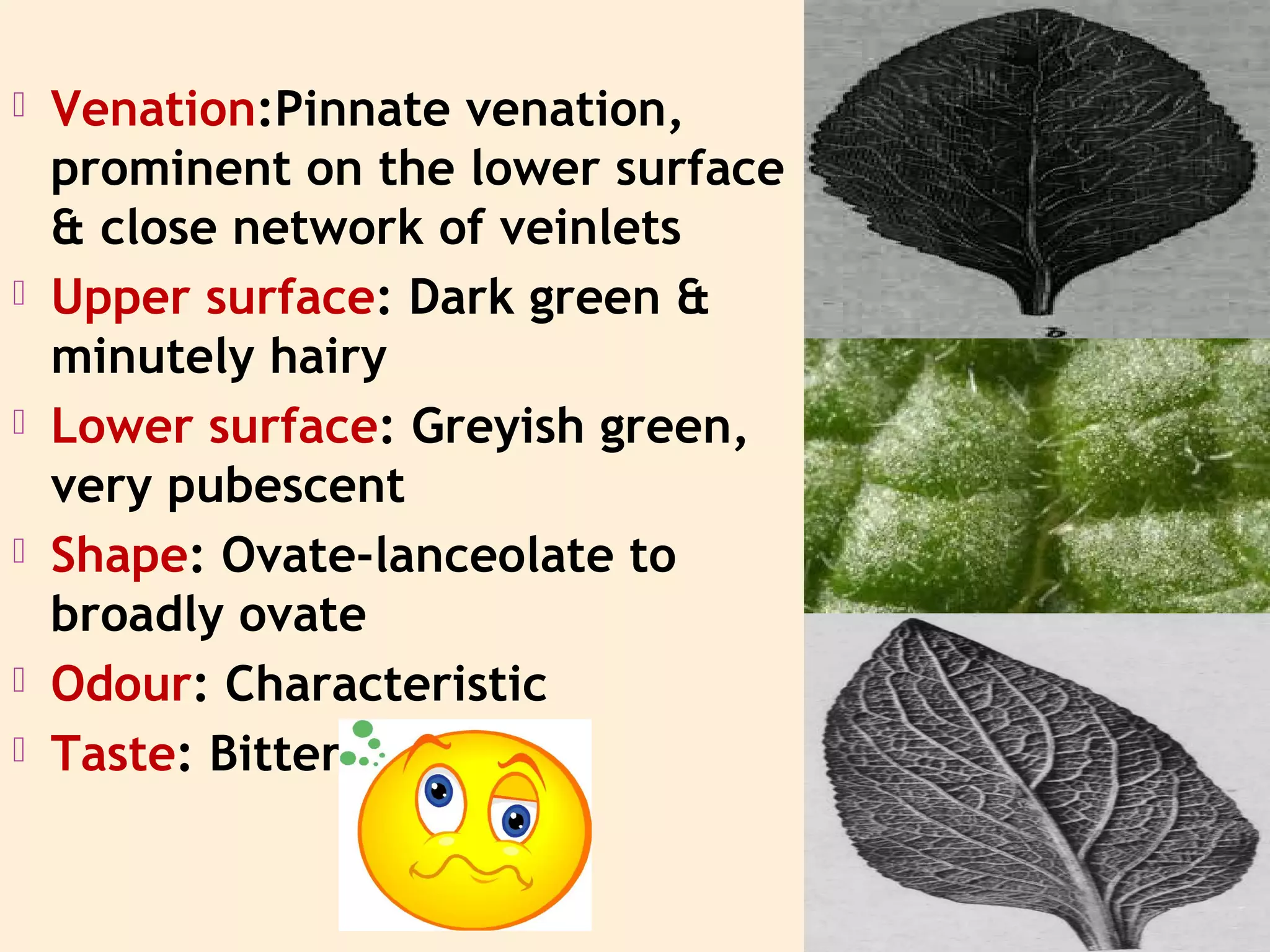 DIGITALIS the glycosidal drug | PPT