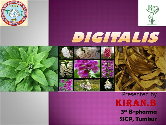 DIGITALIS the glycosidal drug | PPT | Heart and Cardiovascular Diseases | Diseases and Conditions