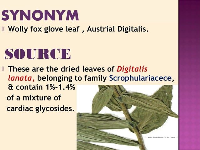 DIGITALIS the glycosidal drug | PPT | Heart and Cardiovascular Diseases ...