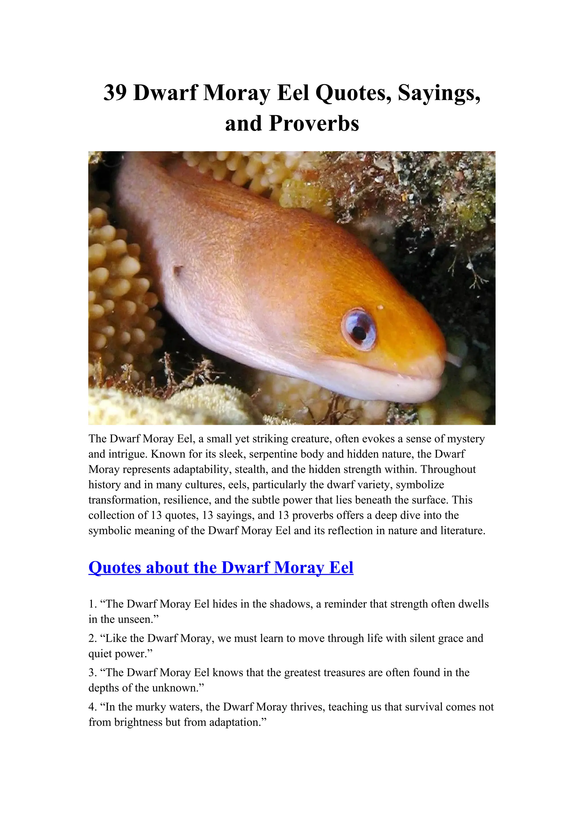 39 Dwarf Moray Eel Quotes, Sayings, and Proverbs.docx