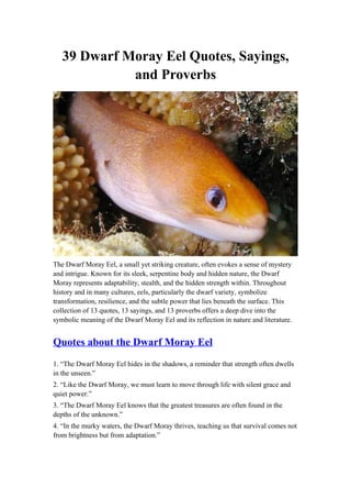 39 Dwarf Moray Eel Quotes, Sayings, and Proverbs.docx
