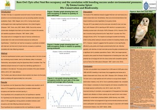 Barn Owl Poster | PPT