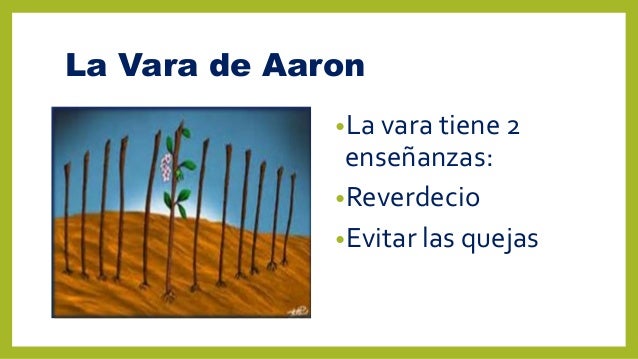 39 el santuario vara de aaron