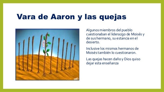 39 el santuario vara de aaron
