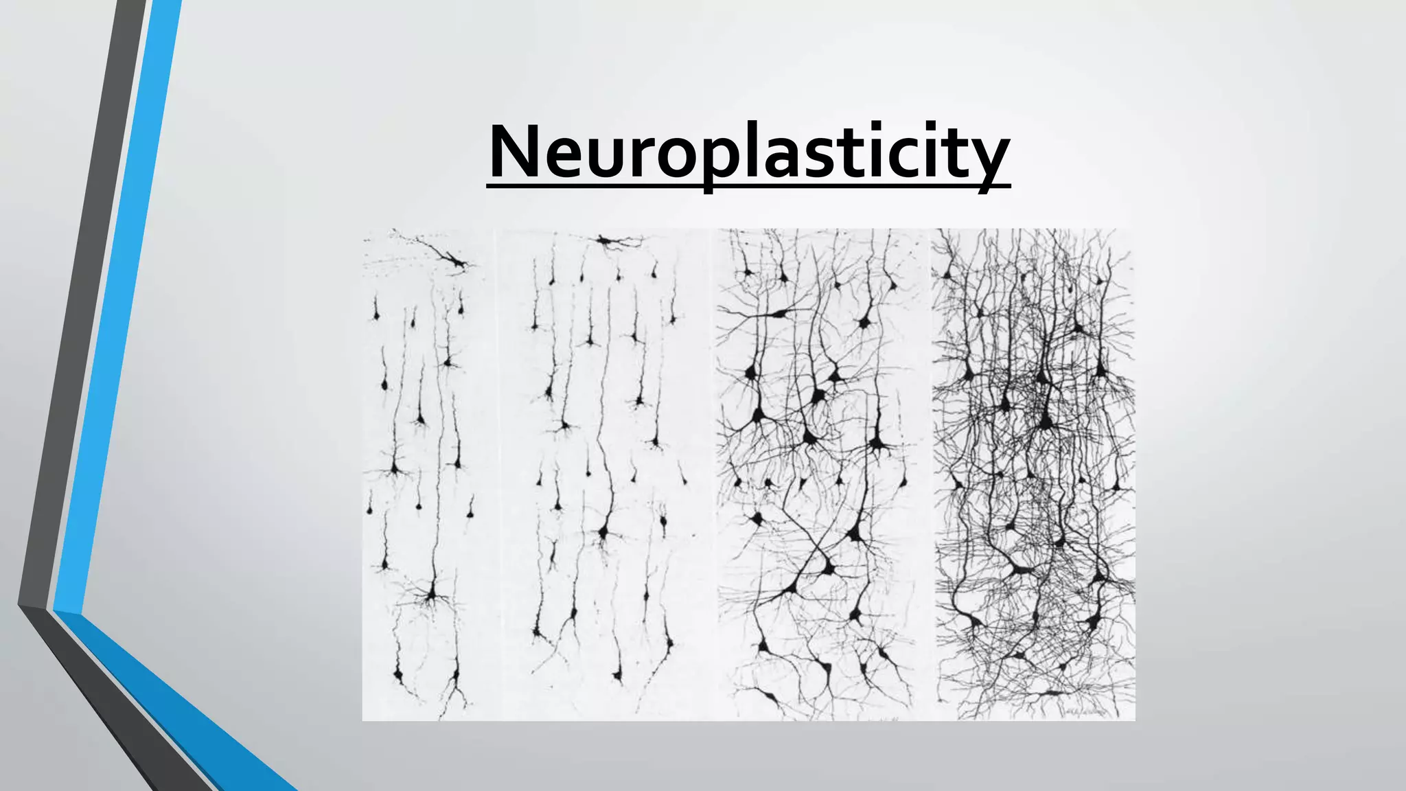 RA Spring 2017 Training Presentation | PPT