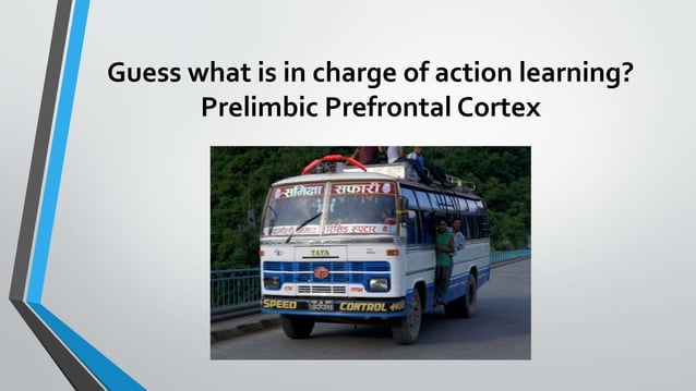 RA Spring 2017 Training Presentation | PPT