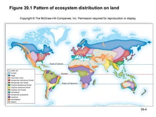 39 Lecture Ppt | PPT