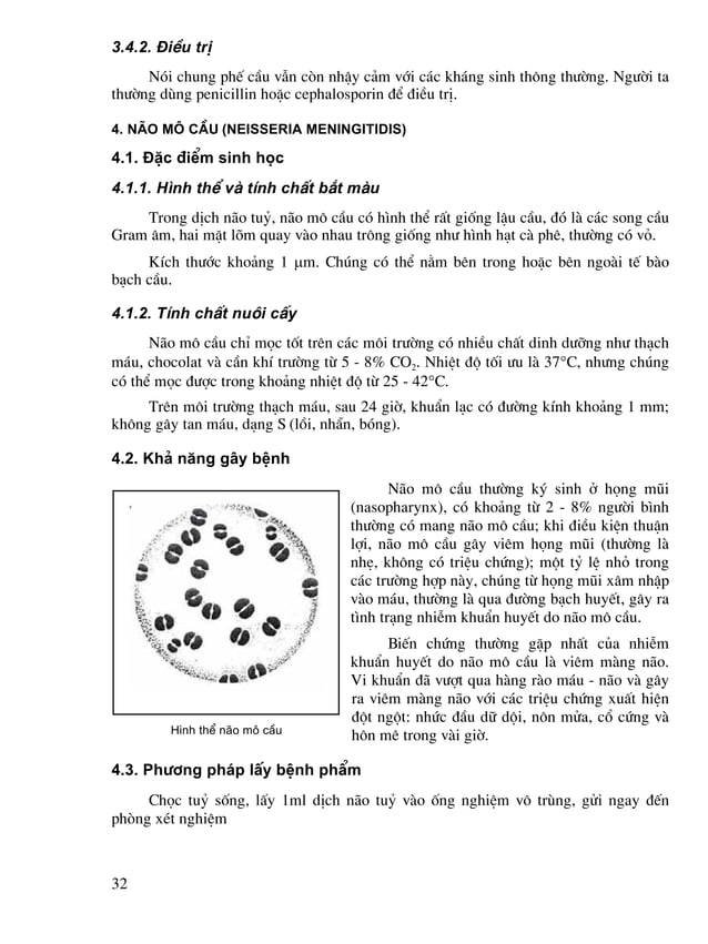 Vi sinh ký sinh trùng | PDF